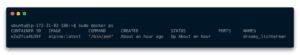 Building a Browser-based Terminal using Docker and XtermJS - Presidio